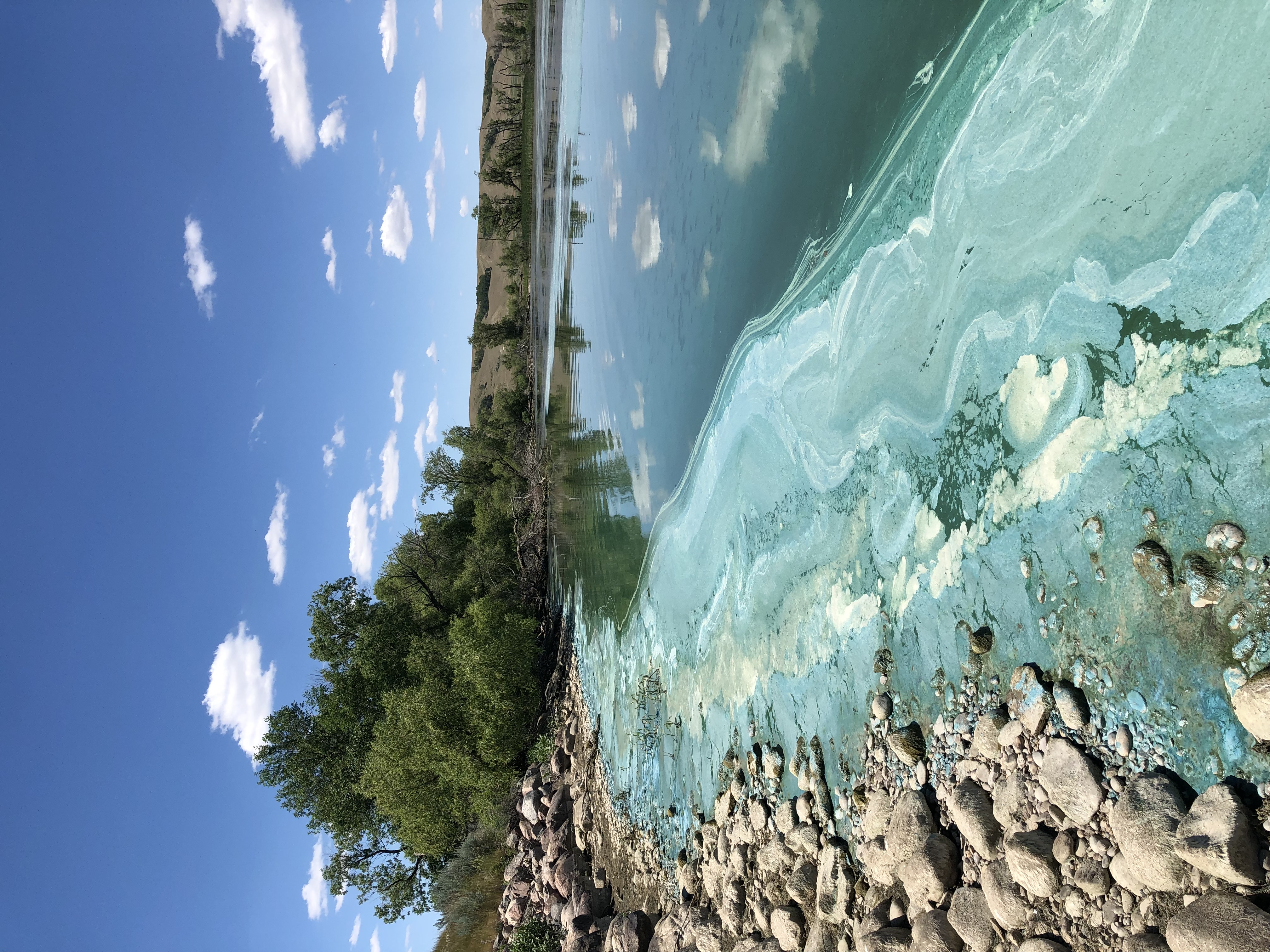 Look Out for Harmful Algal Blooms When Recreating this Summer | Montana DEQ